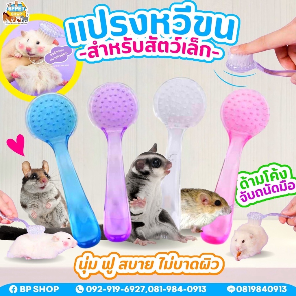 (Ratima) แปรงหวีขน สำหรับแฮมสเตอร์ทุกชนิดสำหรับสัตว์เลี้ยงตัวเล็ก หวี ...