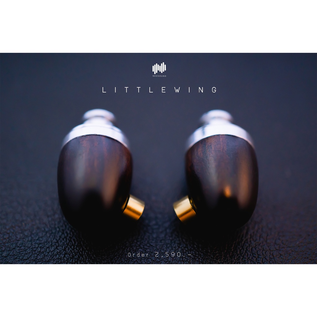 "Neo Littlewing Iem's" หูฟัง อินเอียร์ 🇹🇭 Real Sound High-Fidelity ขั้ว ...