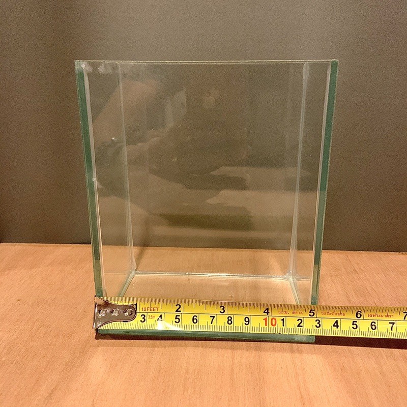 โหลปลากัดขนาด 3x5x6 นิ้ว กระจกหนา 3 มิลลิเมตร | Shopee Thailand