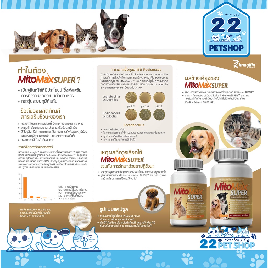 Mitomax Super Premium Probiotic โปรไบโอติก อาหารเสริม สุนัขช่วยในระบบ ...