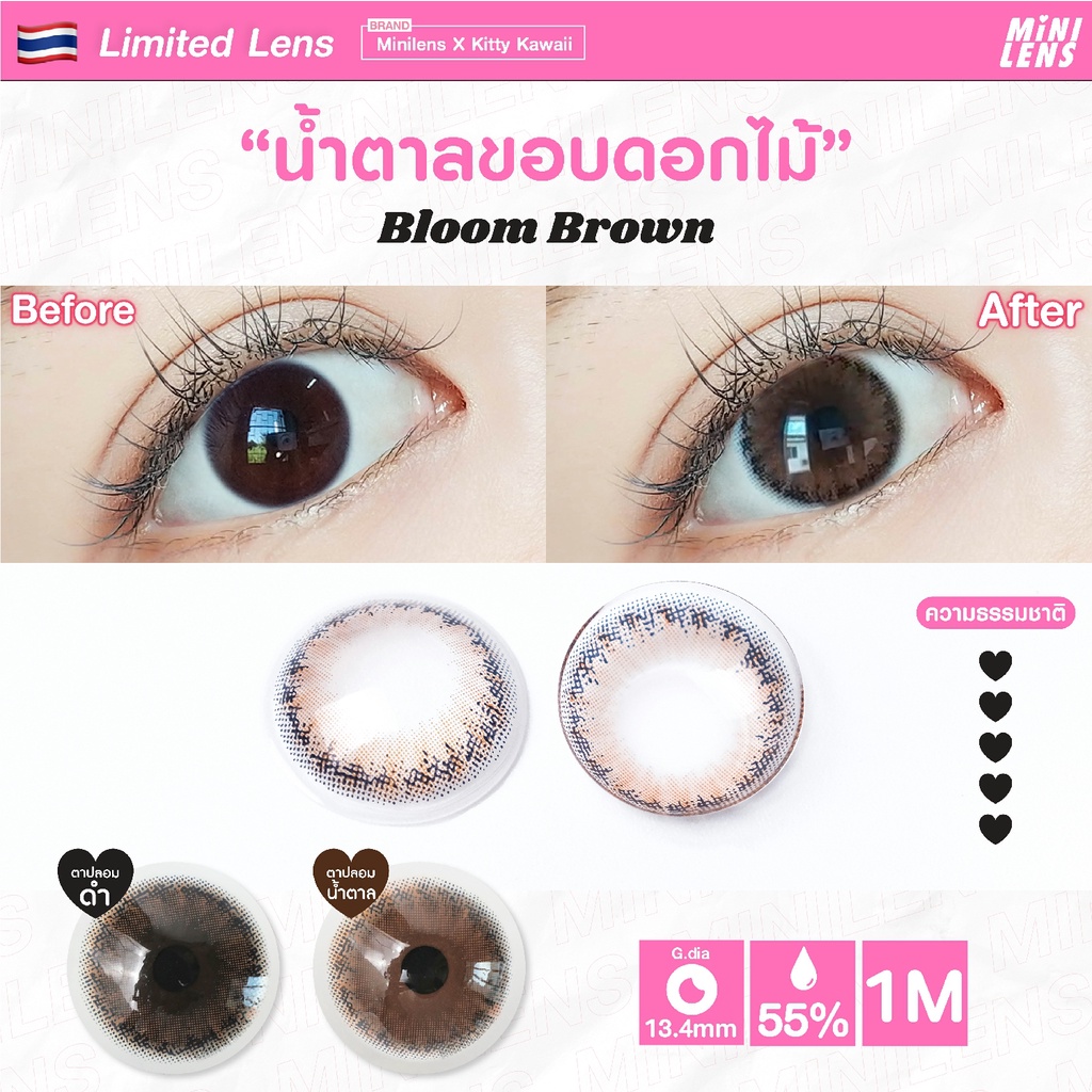 คอนแทคเลนส์ คอนแทคเลนส์รายเดือน Mini Lens รุ่น Bloom Brown สีน้ำตาลหม่น ...