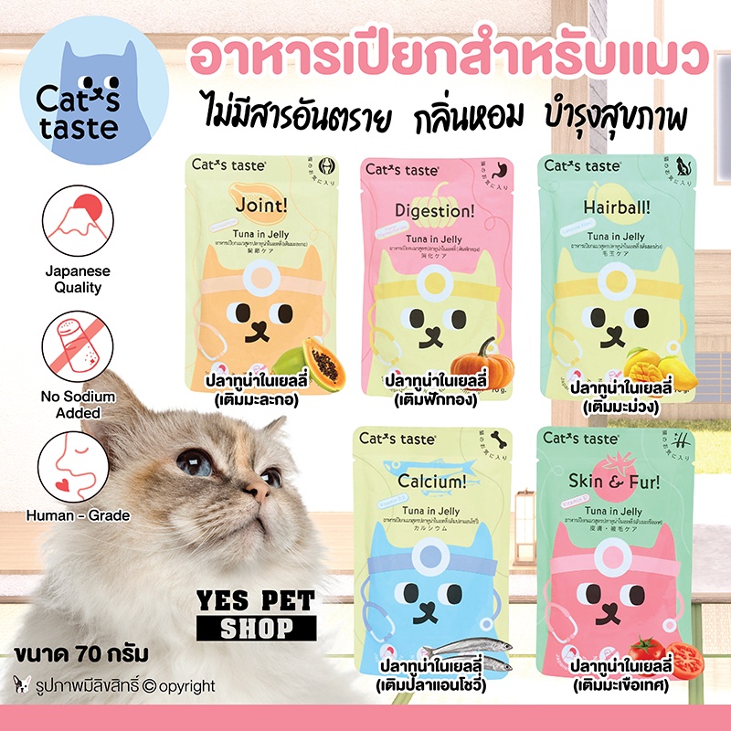 อาหารแมว อาหารเปียก Cat’s taste (สูตร Healthy รสปลาทูน่าในเยลลี่) สำหรับแมวอายุ 1 ปีขึ้นไป ขนาด ...