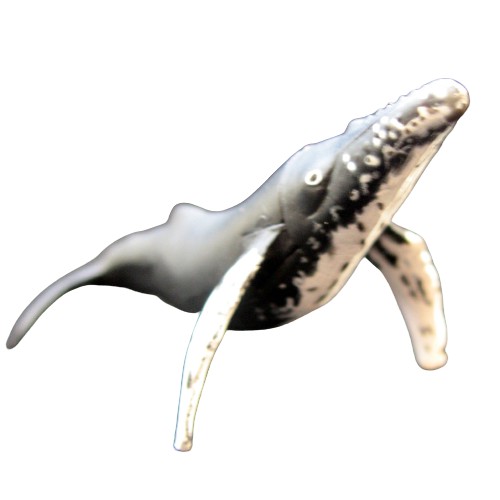 Mini Figure Model วาฬหลังค่อม HUMPBACK WHALE ขนาด 2 นิ้ว สวย เหมือนจริง ...
