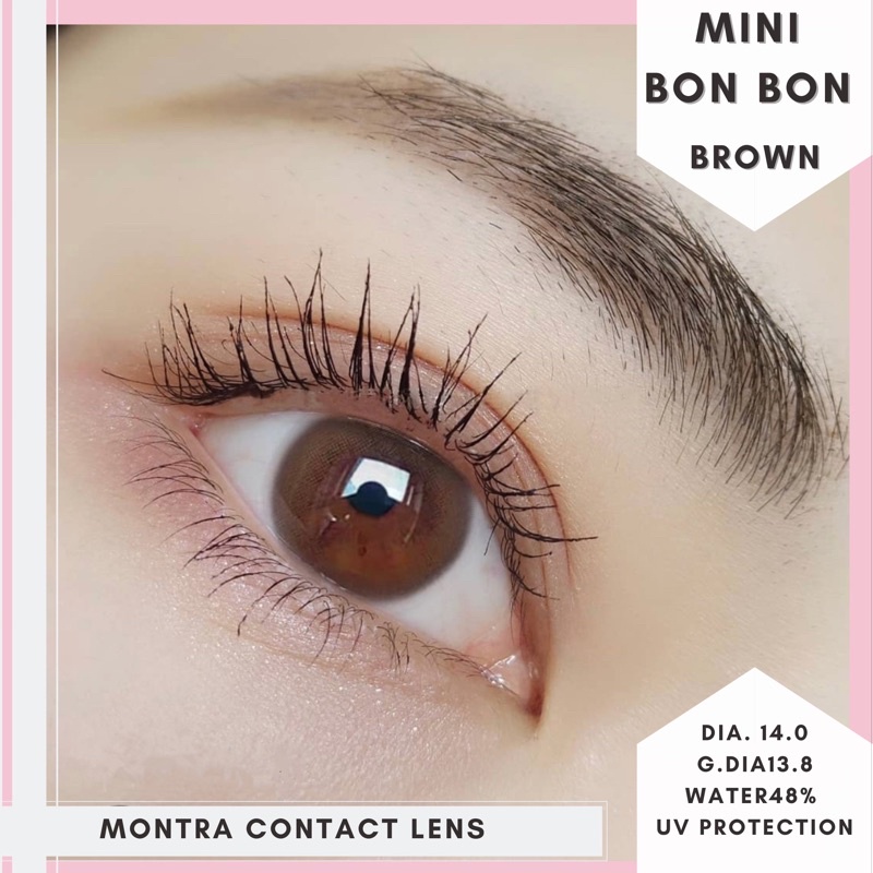 Mini Bon Bon Brown ค่าสายตา 0.00-600 | Shopee Thailand