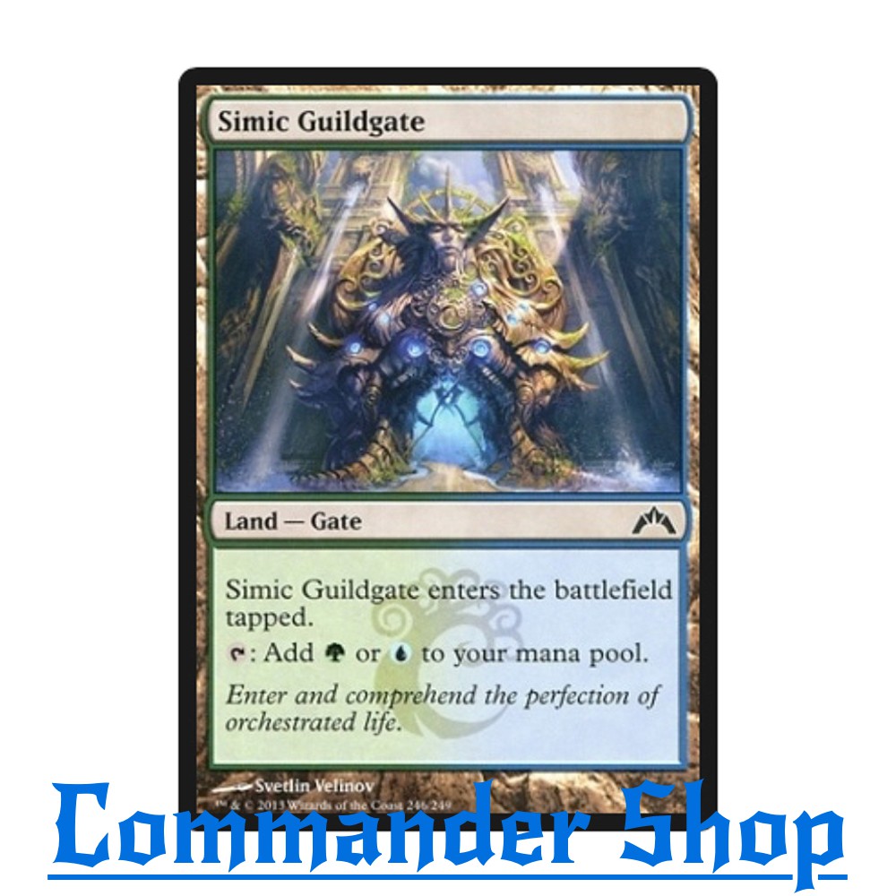 Simic Guildgate (Land) ให้สี Green Blue การ์ด Magic The Gathering (MTG ...
