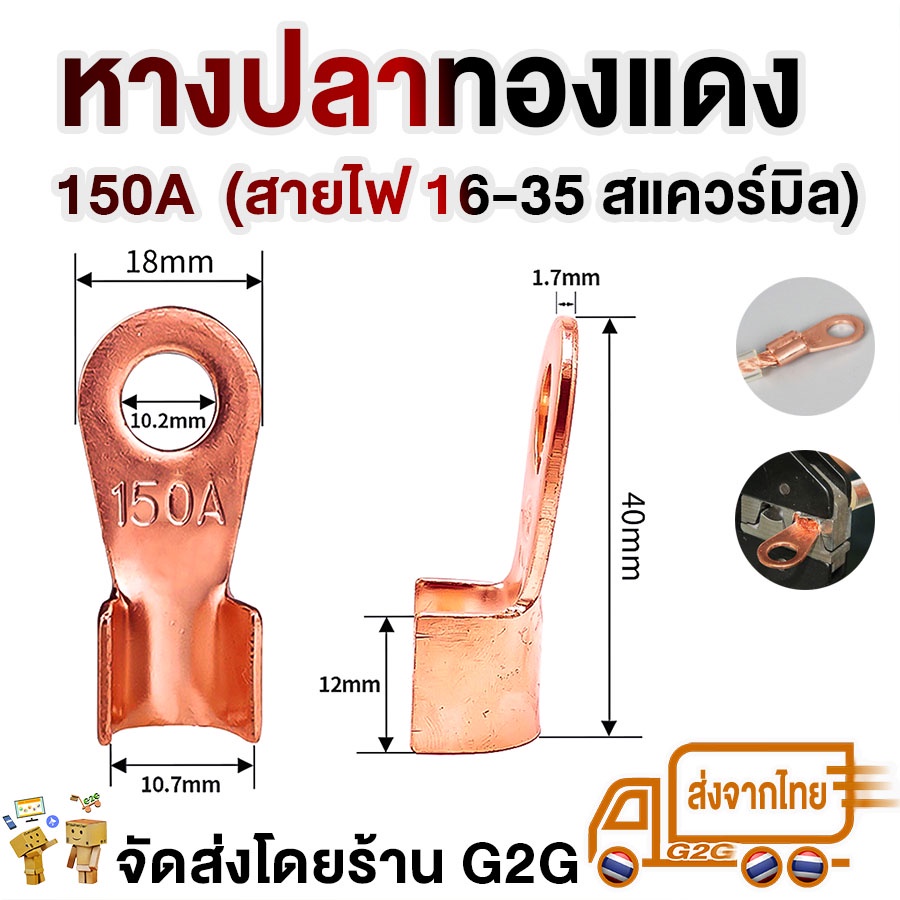 หางปลาทองแดง สำหรับต่อสายไฟ Crimp terminal 3A-600A มีให้เลือกหลายขนาด ...