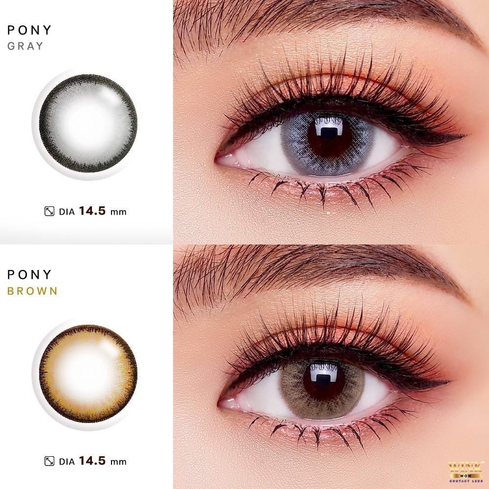 คอนแทคเลนส์🌈Pony🌈 Chestnut / Gray (Wink) ขนาดบิ๊กอาย💖ขายดี🍭 | Shopee ...