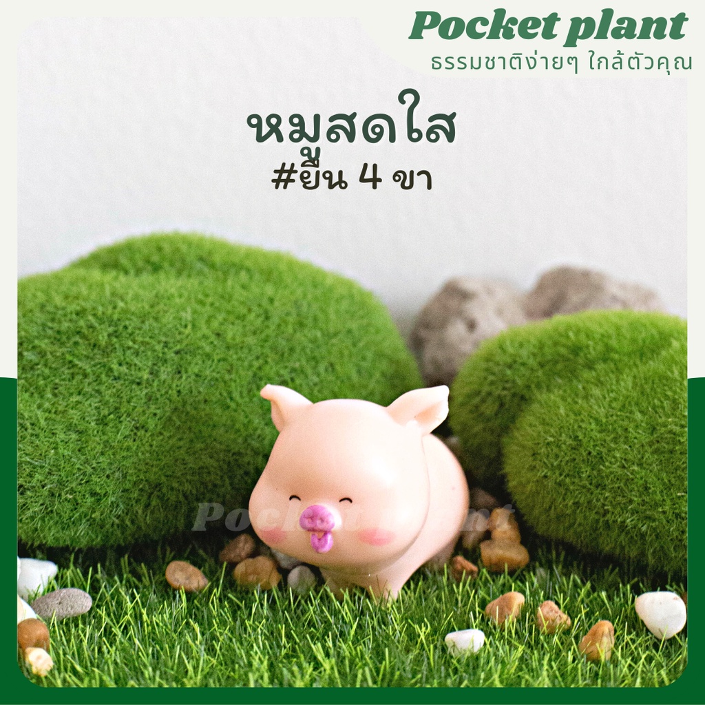หมูสดใส ตุ๊กตาแต่งสวนจิ๋ว จัดสวนถาด โมเดลบ้านจิ๋ว [DolA-M-007] | Shopee ...