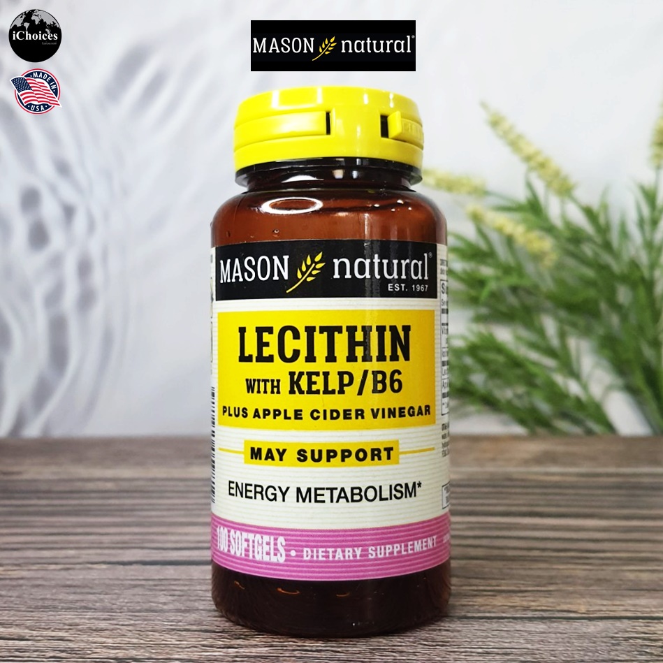 เลซิทิน Mason Natural® Lecithin with Kelp/B6 Plus Apple Cider Vinegar ...
