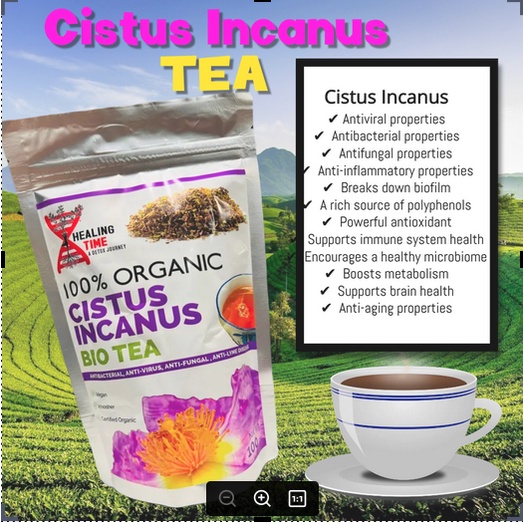Cistus Incanus Tea (Rock Rose tea ) 100 g - Organic antibacterial ...