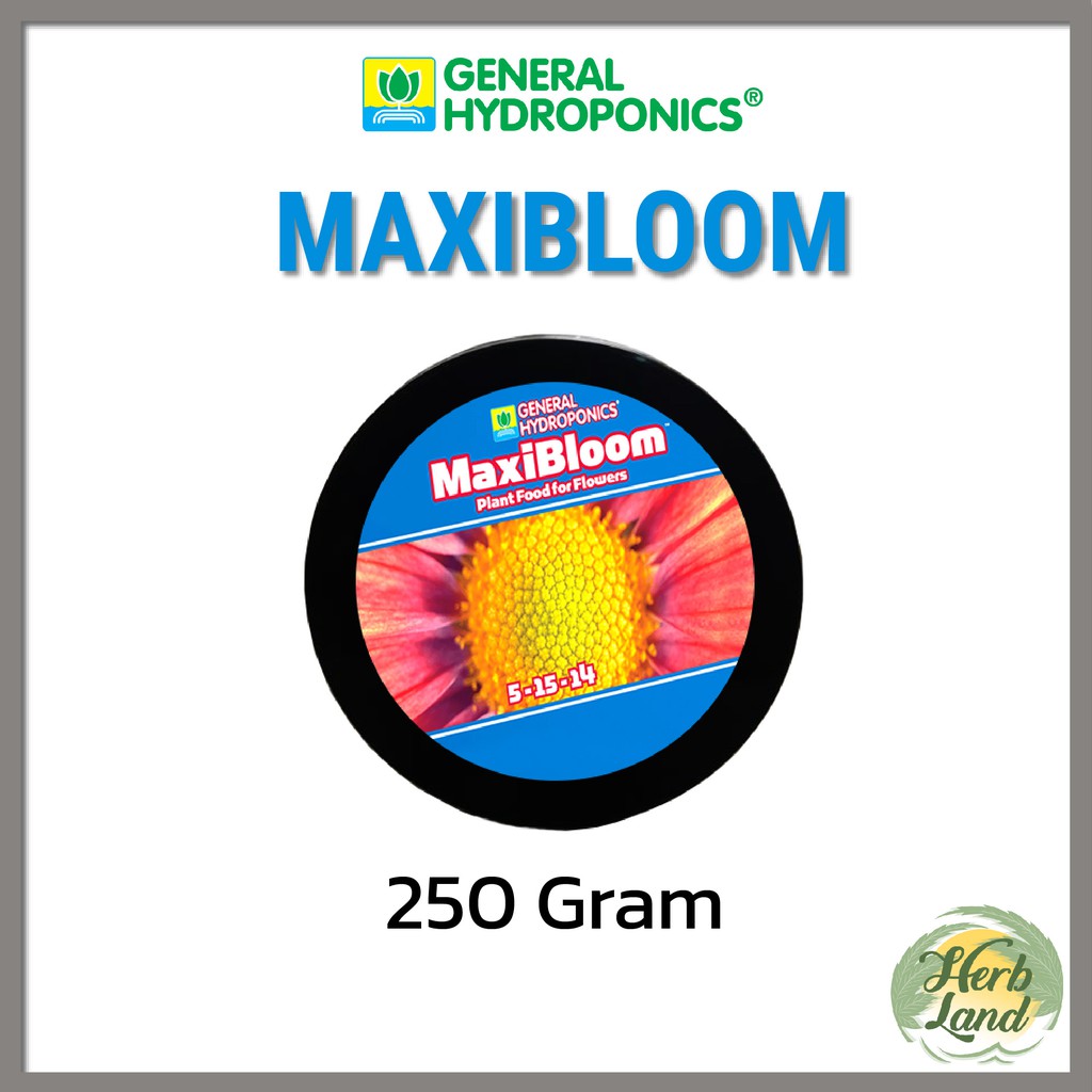 General Hydroponic - MaxiBloom ปุ๋ยหลักชนิดผงสำหรับช่วงทำใบ แบ่งขาย 50 ...