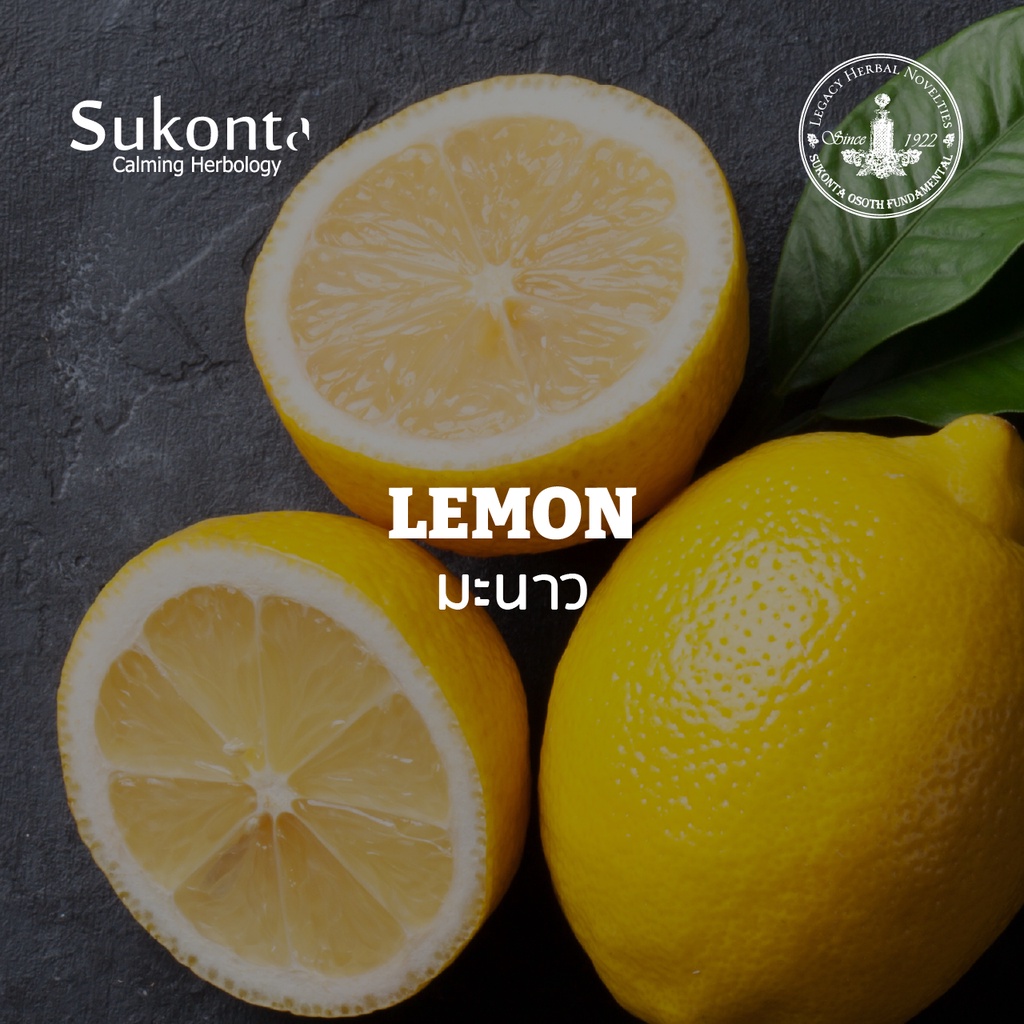 SUKONTA Botanic Series Reed Diffuser ก้านไม้หอมปรับอากาศรวมกลิ่นผลไม้ ...