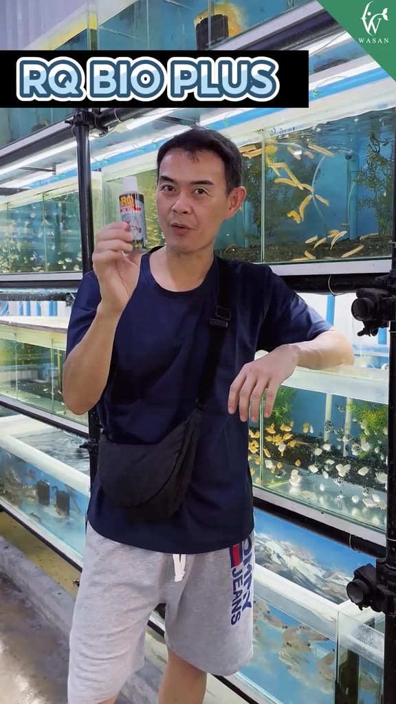 RQ BIO PLUS (แบคทีเรียย่อยสลายของเสีย เศษอาหารตกค้าง ทำให้น้ำใสสะอาด) | Shopee Thailand