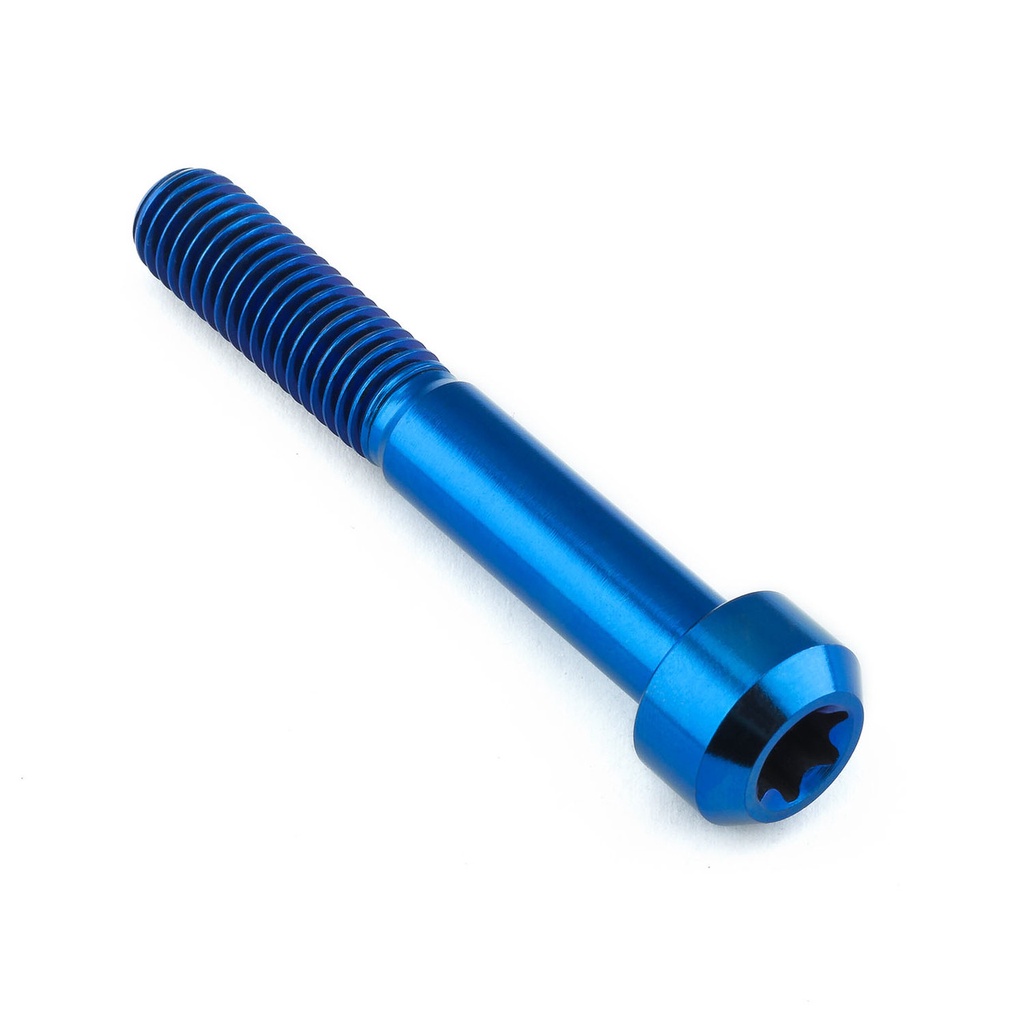 Pro-Bolt ไทเทเนี่ยม หัวทอร์ค M10x55,60,65,70mm | Shopee Thailand