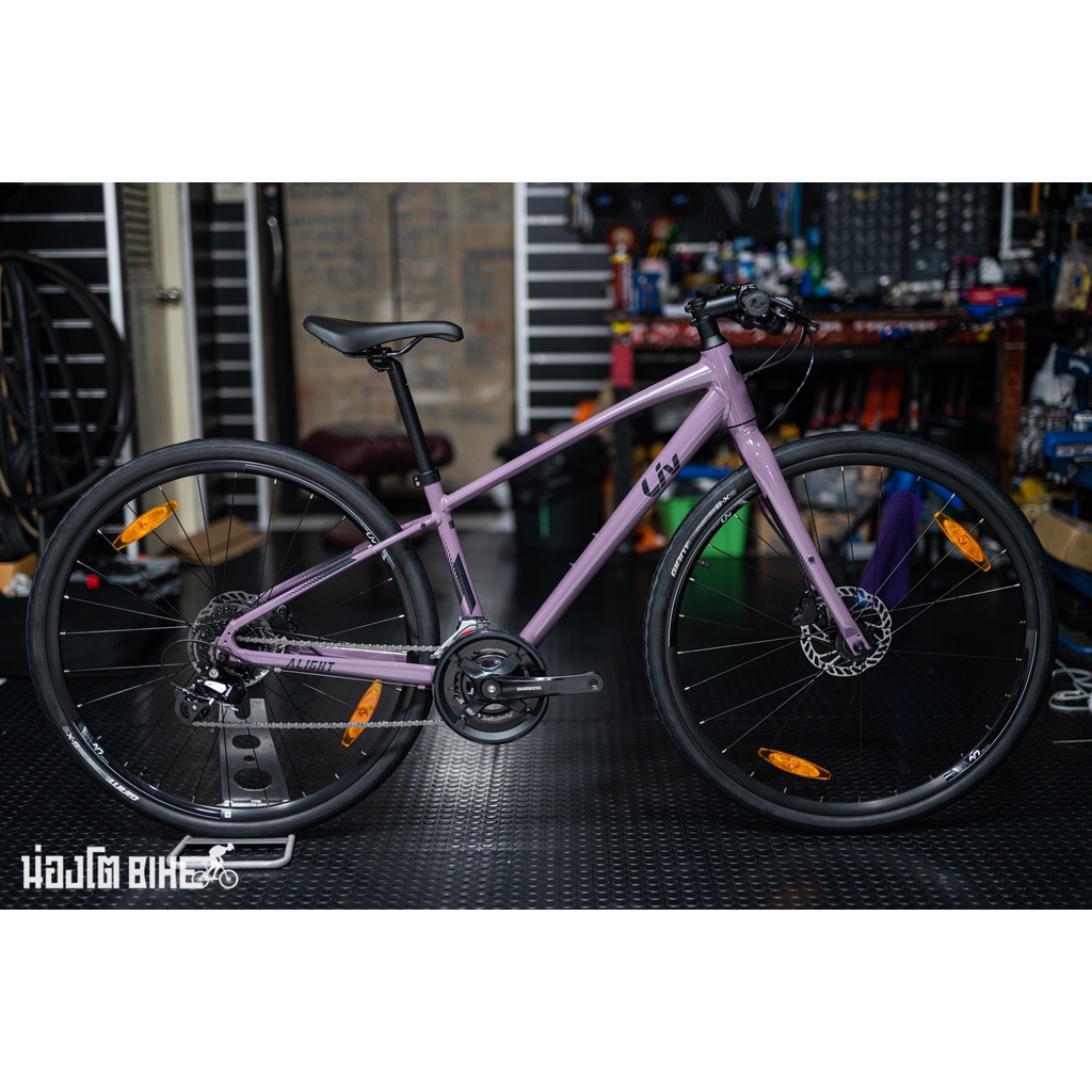 Liv Alight 2 DD Disc 2022 (Purple Ash) | Shopee Thailand