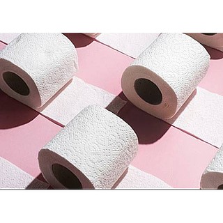 BJC Zilk By Cellox Cotton Toilet Tissue กระดาษทิชชู่ชำระคอตตอล ซิลค์ แพ็คละ 24 ม้วน | Shopee ...