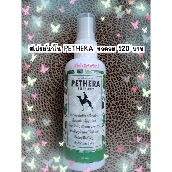pethera สเปรย์นาโนแก้โรคผิวหนังสุนัขแมว ขี้เรื้อน เชื้อรา ยีสต์ คันขน ...