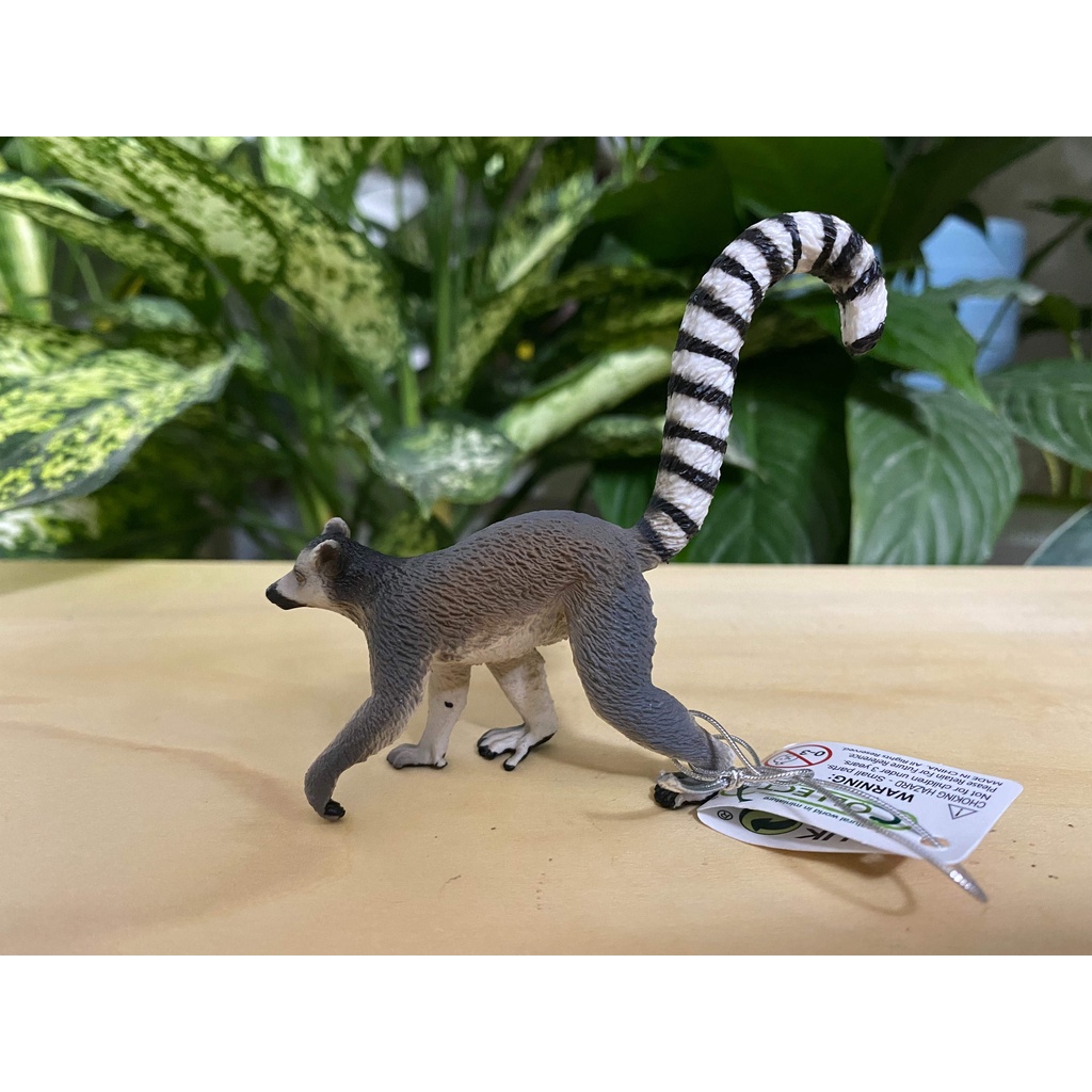 โมเดลสัตว์: Ring-tailed Fox Ape (ของแท้) | Shopee Thailand