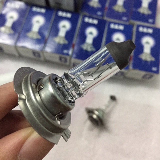 หลอดไฟ H7 ( ฮาโลเจน) | Shopee Thailand