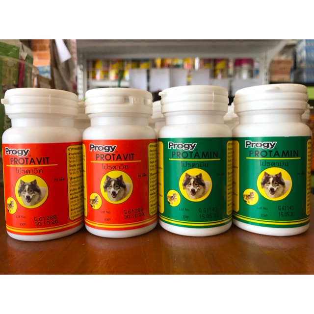 อาหารเสริม Porgy PROTAMIN/PROTAVIT โปรตามิน/โปรตาวิท | Shopee Thailand