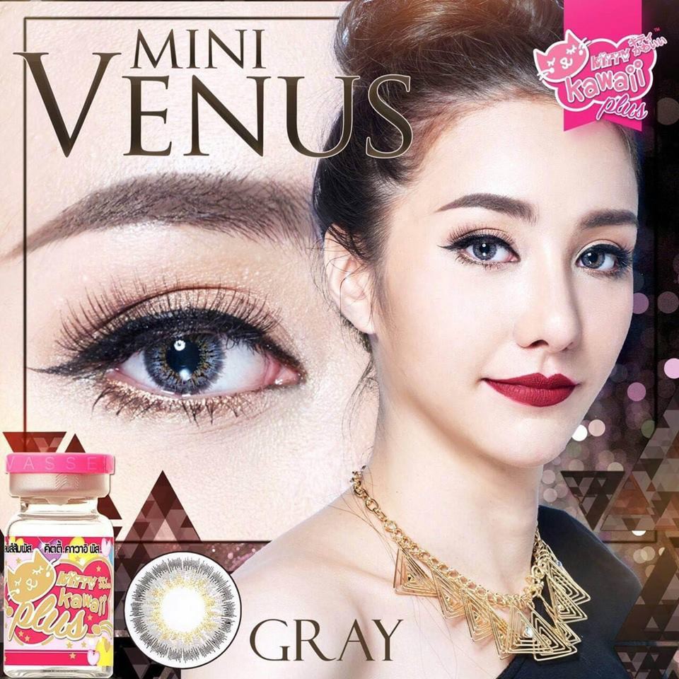 คอนแทคเลนส์รุ่น Mini VENUS Gray (Dia.14.2) | Shopee Thailand