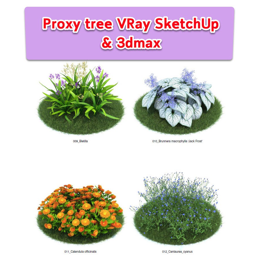 Proxy tree for VRay SketchUp & 3dMax (Archmodel v.86) | Shopee Thailand