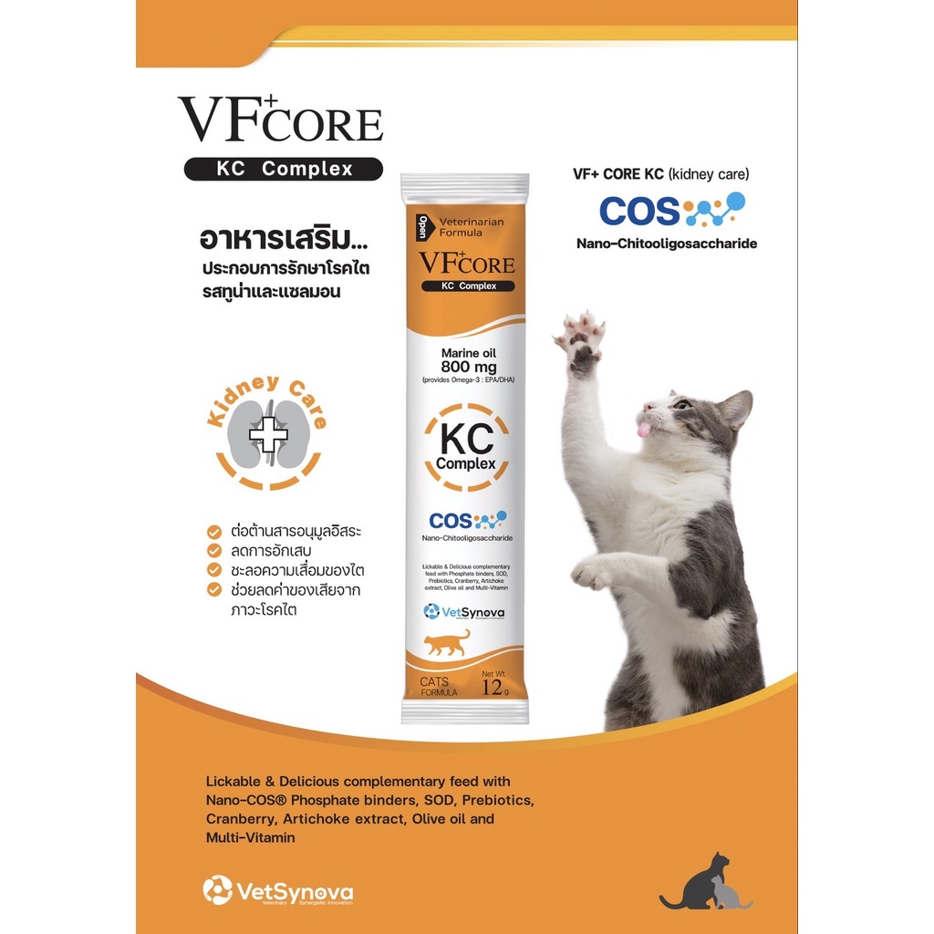 VF+ Core (VFCore) - LS Lysine | JC Joint Care | RB Multi Vitamins อาหารเสริม สำหรับ สุนัข และ ...