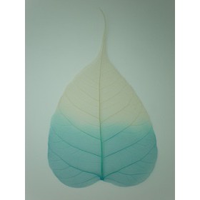 โครงใบไม้ 25 ชิ้น Natural/Turquoise (Standard Bo Skeleton Leaves ...