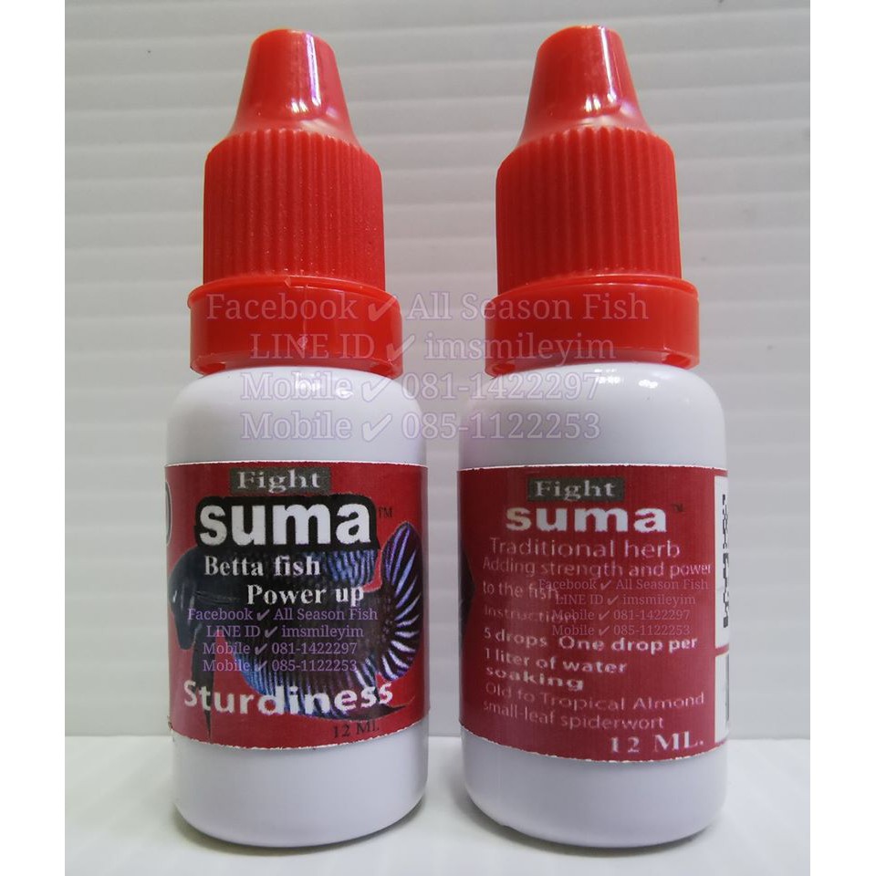 12 ml. SUMA > สายกัด (R) Fight 3D (สีแดง) ปลานักต่อสู้ ฟันปลาคม เขี้ยว ...