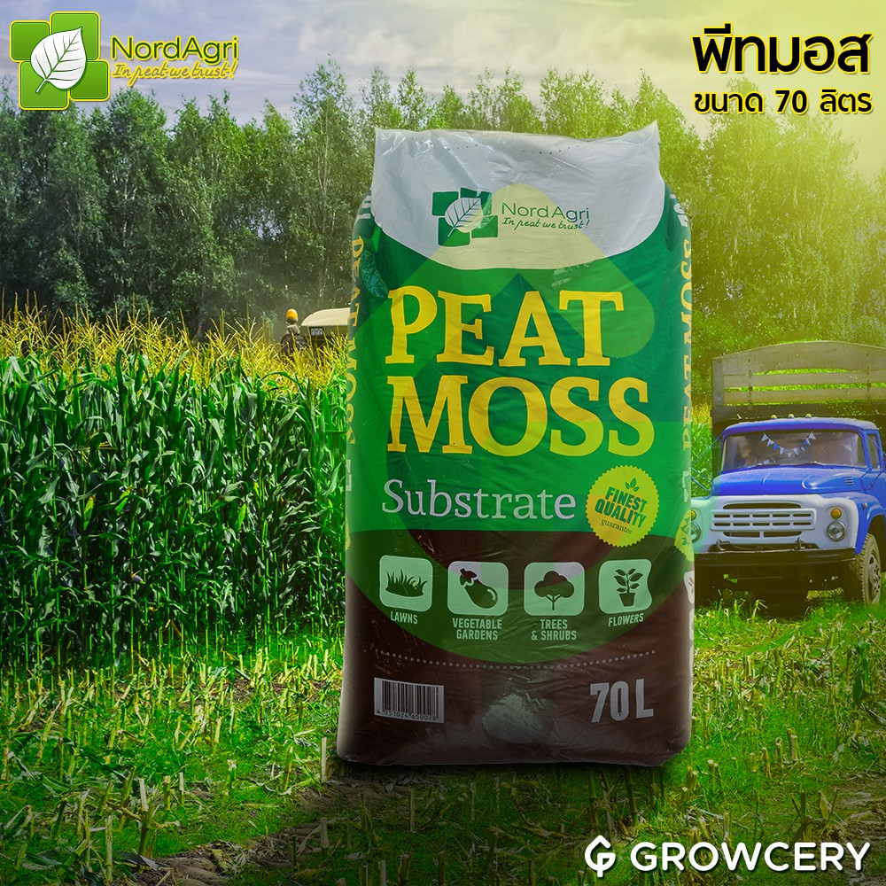 [G] พีทมอส ดินมีเดีย ดินปลูกต้นไม้นำเข้า ขนาด 70 ลิตร ยี่ห้อ Nord-Agri โดย GROWCERY | Shopee ...