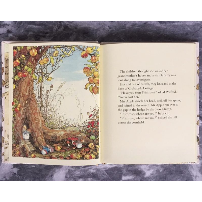 หนังสือชุด Brambly Hedge Library 8 เล่ม วรรณกรรมคลาสสิค ภาษาอังกฤษ ...