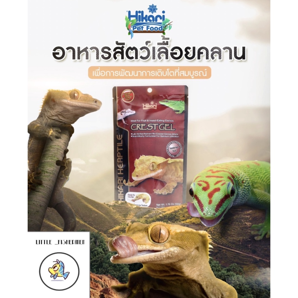 Hikari Reptile Crest gel Gecko Food Gel 50g อาหารตุ๊กแก สัตว์เลื้อยคลาน ...