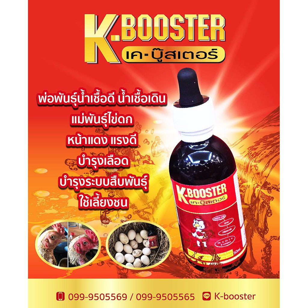 K-Booster ขนาด50 ml ขวดบีบ | Shopee Thailand