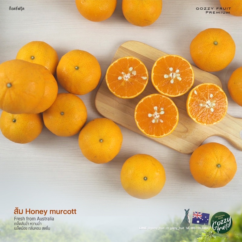 ส้ม Honey murcott ออสเตรเลีย | Shopee Thailand