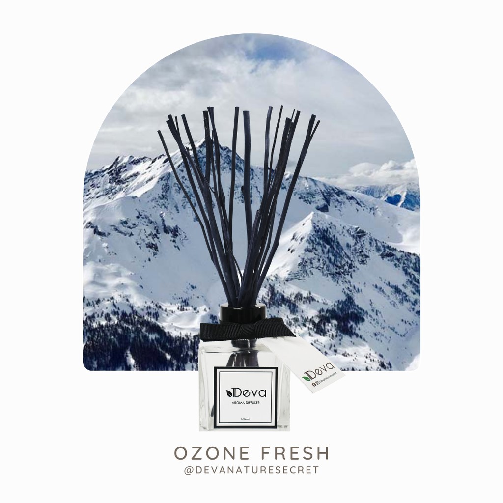 🔥พร้อมส่ง🔥 ก้านไม้หอม Deva Aroma Diffuser แบรนด์แท้ 100ml. ก้านไม้ดำ ...