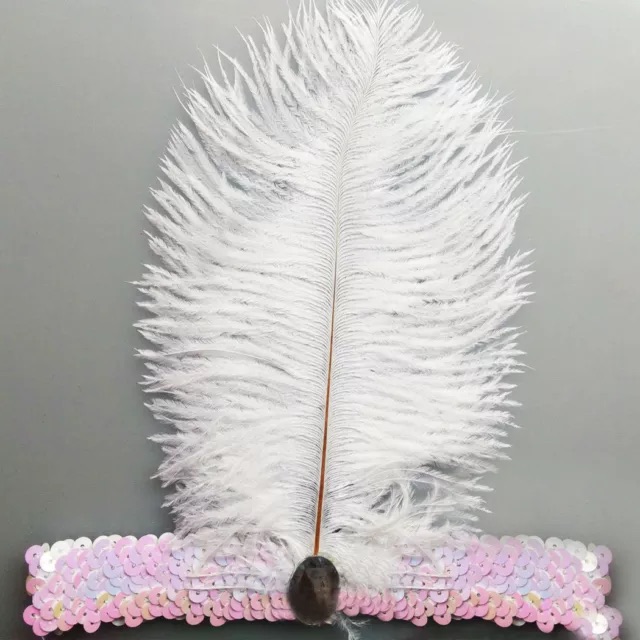 Headband feather | Shopee Thailand