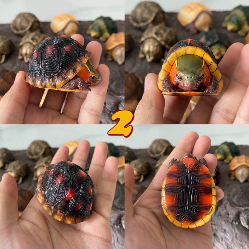 bighead series snipping turtle figurines recast โมเดลเต่าตัวเล็ก ...