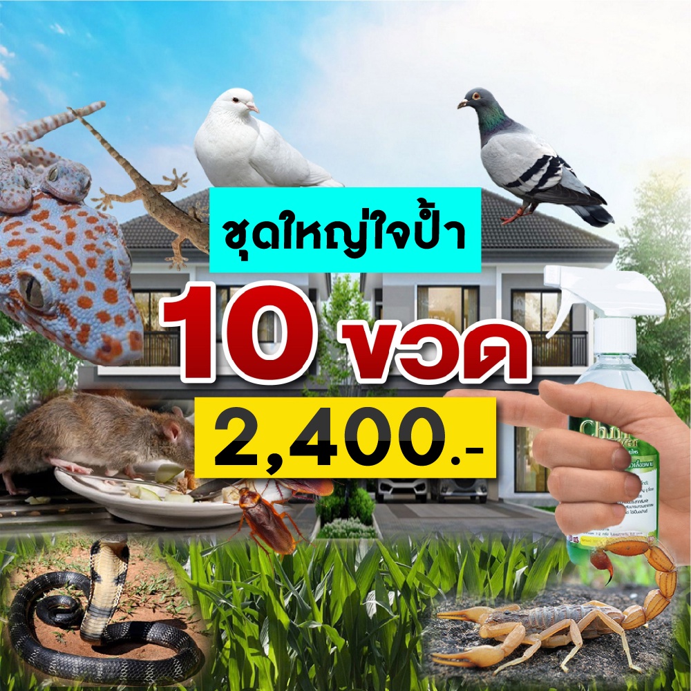 Chin Power 10 ขวด ขนาด 450ml ไล่นกพิราบ ไล่หนู ไล่งู สมุนไพรไทย ไร้สาร ...
