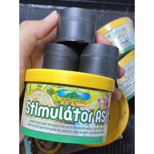 ผงเร่งรากแคคตัส ผงเร่งราก แบ่งขายขนาด5กรัม stimulátor AS-1 และ แพลนรูน (PlantRoot) | Shopee Thailand