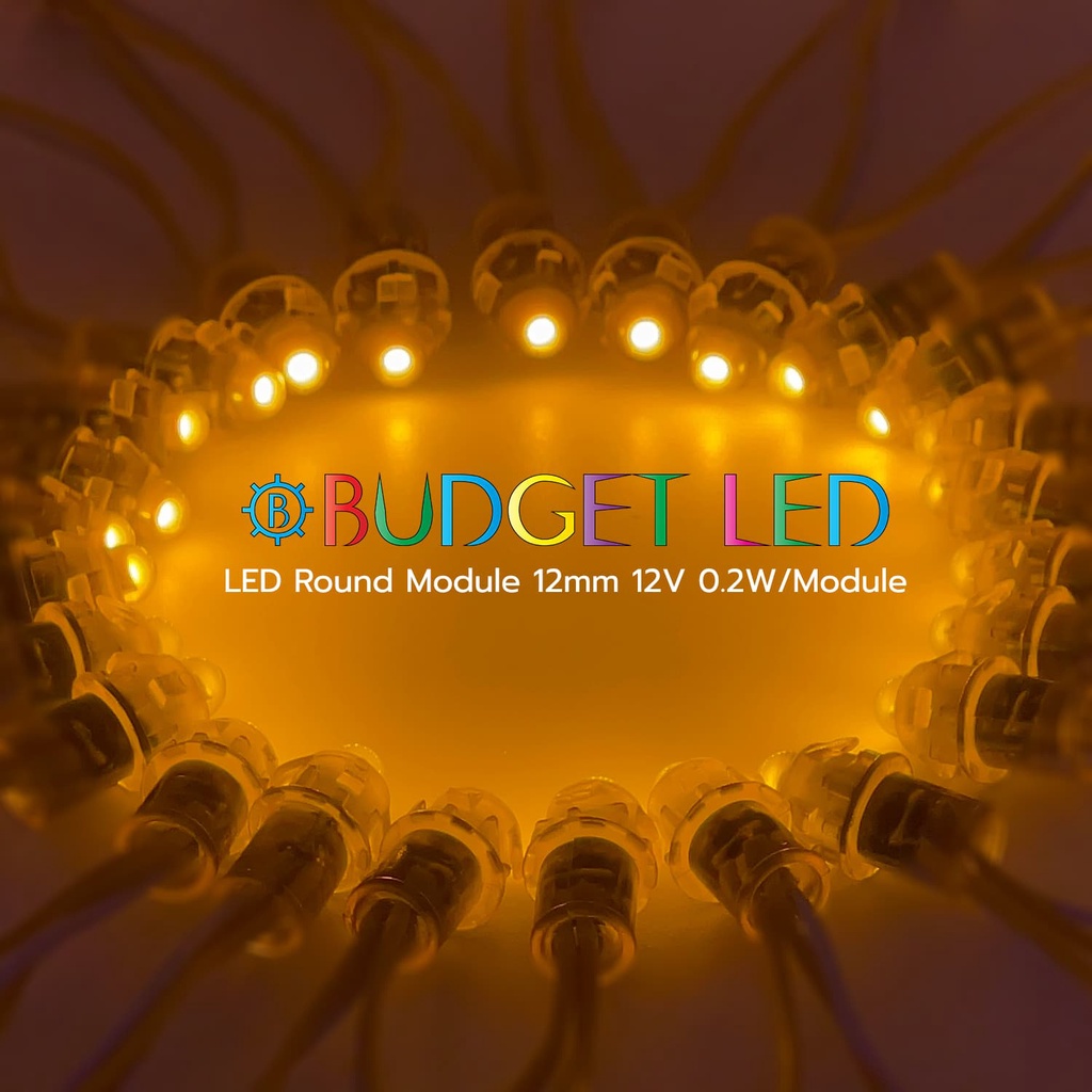 LED Round Module 12mm DC-12V 0.2W/Module แอลอีดีโมดูลหัวกระสุนกันน้ำ ...