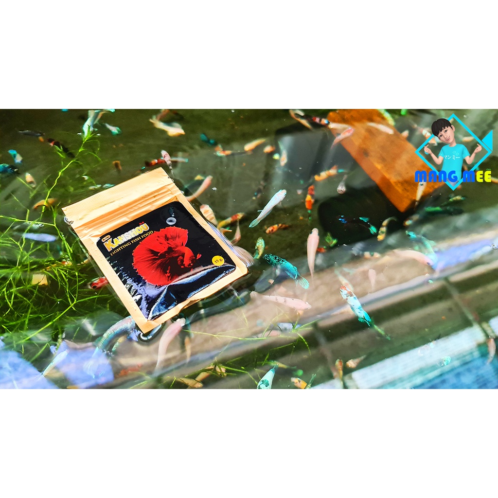 อาการปลากัด KANSHOU FIGHTING FISH FOOD สำหรับ ปลากัด ทุกสายพันธุ์ ขนาด ...