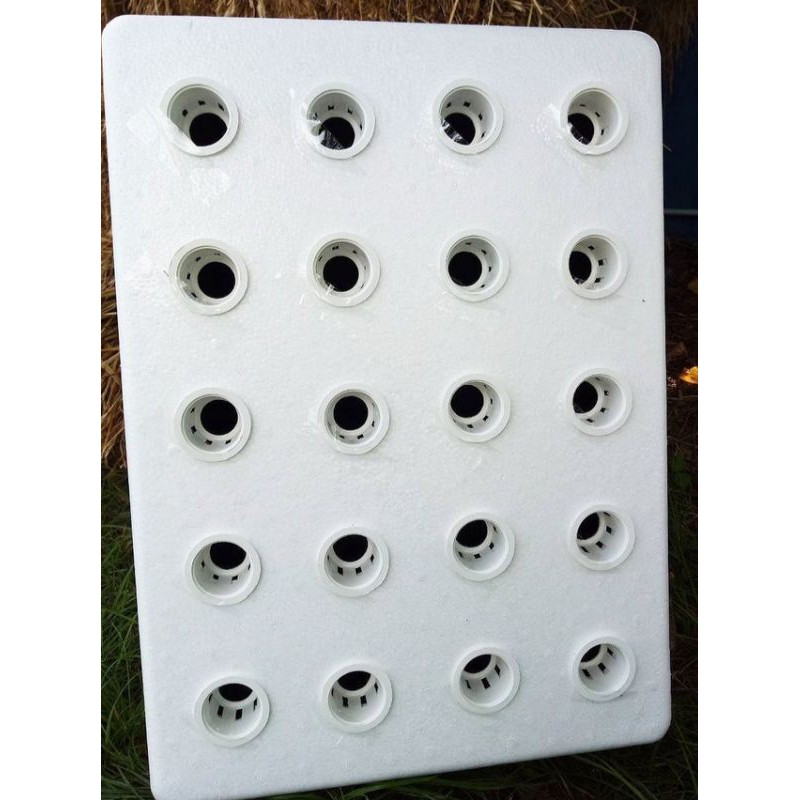 STYROFOAM BOX FOR HYDROPONIC SYSTEM | Shopee Thailand