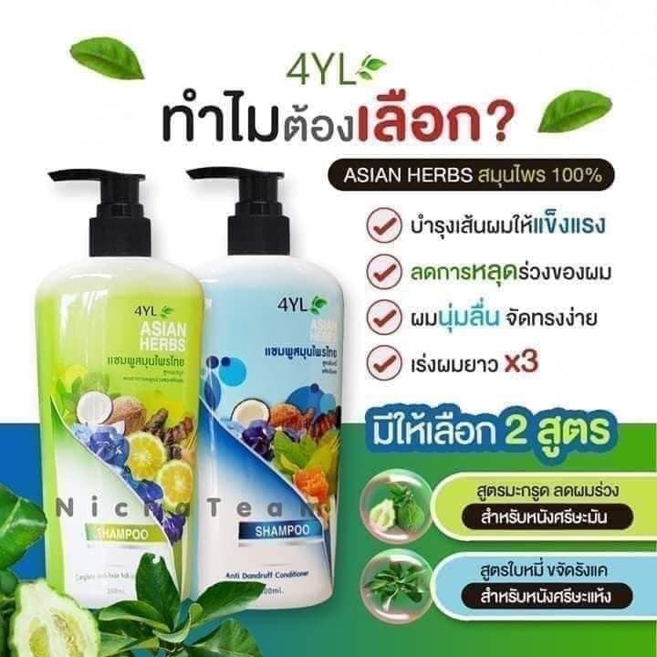 แชมพู-ครีมนวด สมุนไพร 4YL สูตรใบหมี่ สูตรมะกรูด | Shopee Thailand