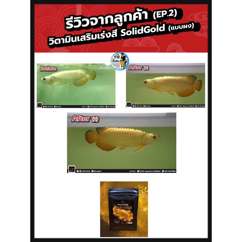 ARO PLUS - Solid gold วิตามินเร่งสีปลามังกรทอง แบบคลุก 10g. | Shopee Thailand