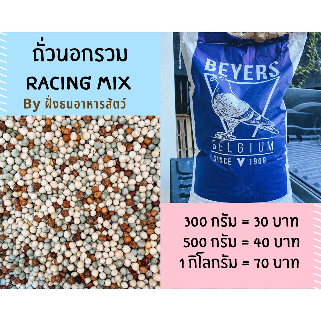 ถั่วรวมนกพิราบเบเยอร์ Beyers สูตร SPORT RACING MIX***🔥พร้อมส่ง🔥 ...