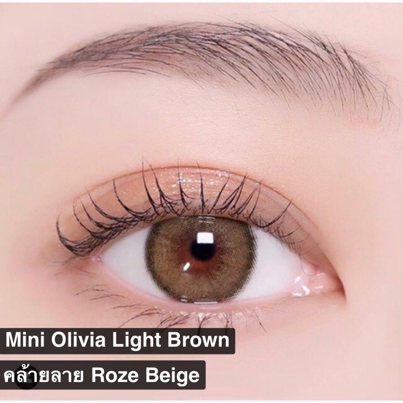 คอนแทคเลนส์ Mini Olivia Brown / Light Brown / Gray (Kitty Kawaii) ขนาดมินิ 🌷 ลายฮิต ขายดีมาก ...