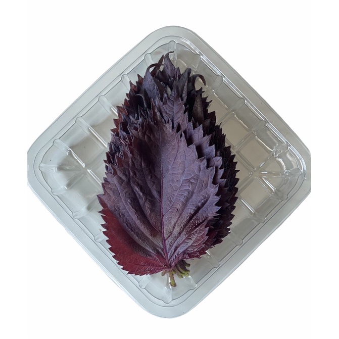 ใบชิโสะแดง (Red Shiso/Aka Shiso) ใบชิโสะสีแดง 50g./แพค คละใบ คละไซส์ ...