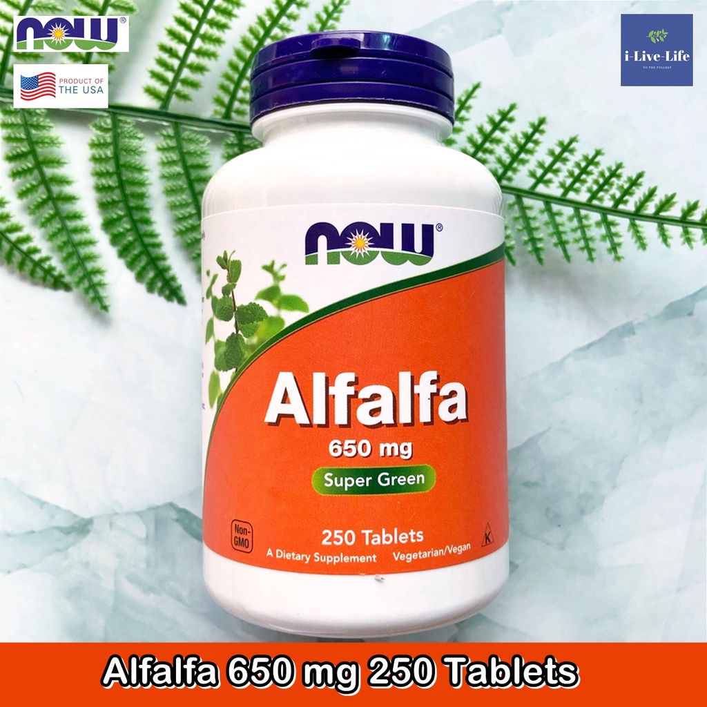 อัลฟัลฟา Alfalfa 650 mg 250 Tablets - Now Foods วิตามินเค | Shopee Thailand
