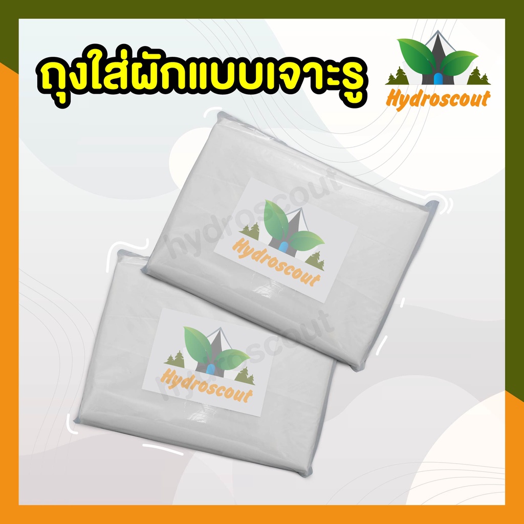 ถุงใส่ผักสลัดแบบเจาะรู คุณภาพดี ทนทาน 1 กิโลกรัม by hydroscout | Shopee ...