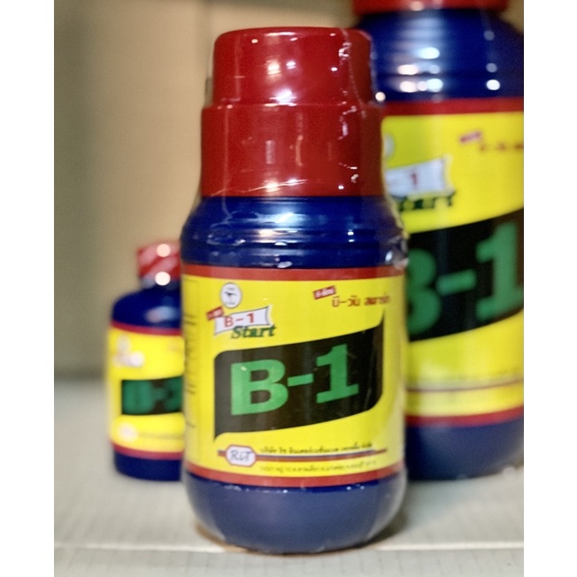 B1 น้ำยาเร่งราก เรียกราก Start Vitamin B1 หรือชื่อใหม่ B Start | Shopee ...